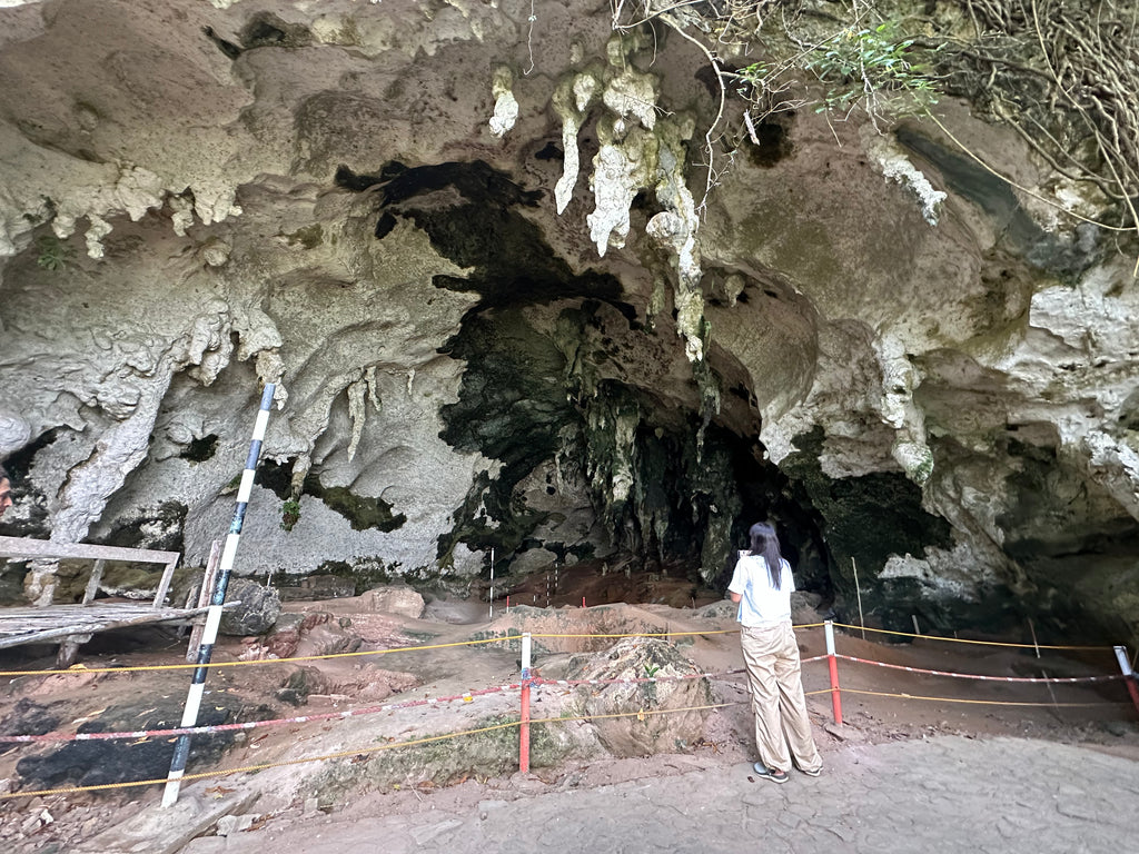 Tabon Cave Day Tour from Puerto Princesa City – Corazon Travel and Tours